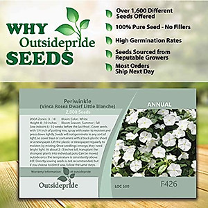 Outsidepride Vinca Periwinkle White Garden Flower, Ground Cover, & Container Plants - 4000 Seeds