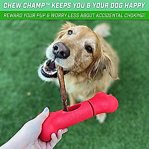 GoSports Chew Champ Bully Stick Holder for Dogs - Securely Holds Bully Sticks to Help Prevent Choking, Red - 8 Inch Size