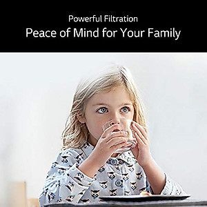 LG LT600P - 6 Month / 300 Gallon Capacity Replacement Refrigerator Water Filter (NSF42 and NSF53 5231JA2006A, 5231JA2006B, 5231JA2006F, or 5231JA2006F , White