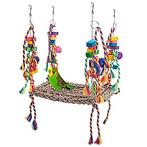 Bird Toys, Parrot Foraging Wall Toy, Edible Seagrass Woven Hammock Swing Perch with Colorful Chewing Toys for Lovebirds, Finch, Parakeets, Budgerigars, Conure, Cockatiel, Canary, Amazon, African Grey