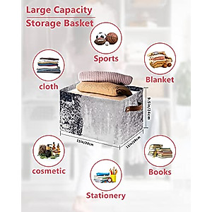 Animal Themed Storage Bins for Organizing, Decorative Large Closet Organizers with Handles Cubes - 2 Pack Fabric Baskets for Shelves, Closets, Laundry, Nursery, Wild Tiger Leopard Walking in the Snow