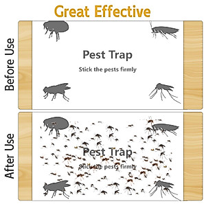 20 Pcs Flea Trap Refill Replacement Glue Boards for Flea Traps for Inside Your Home, Sticky Pads for Fleas, Bugs, Flies, Mosquitos, Safe for Human and Pets