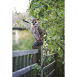 VA Resin Garden Owl Statue, Fake Owl, Fake Statue, Fake Owls, Garden Owl, Owl Décor, Realistic Owl, Owl Yard Décor, Owl.