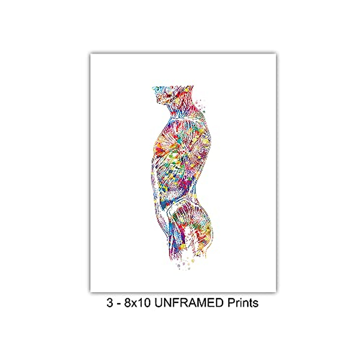 Modern Human Anatomy Room Decorations - Gift for Doctor, Nurse, Physicians Assistant, RN - Room Decor Wall Art Set for Medical Office, Home, Apartment, Living Room - Set of 3-8x10