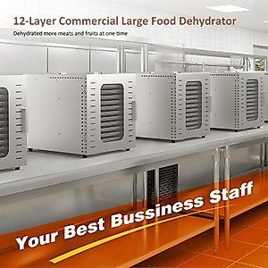 Ausegia Commercial Large 12 Trays Food Dehydrator, Usable Area up to 22.67ft², 1200W Full Stainless Steel Dryer Machine, up to 190℉ Temperature, for Meat, Fruit, Beef, Herbs, and Pet Food