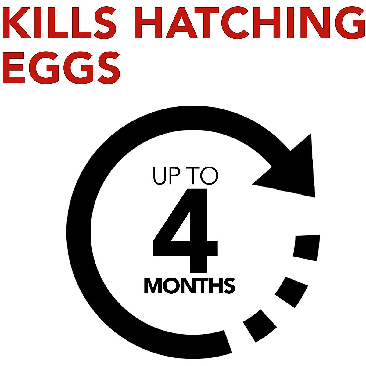 Raid Flea Killer Carpet and Room Spray (16 Ounce (Pack of 6))