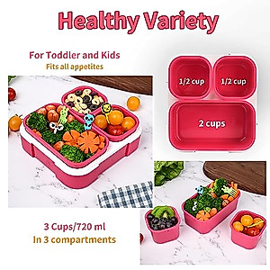 Genteen Leak-Proof Kids Lunch Box, Bento Box with 3 Removable Compartments, Toddler Lunch Box for Daycare, School, Ideal Portion Size for Ages 3 to 7 BPA-Free Dishwasher Safe-Green - Dark Pink
