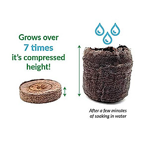 Ferry Morse Jiffy Seed Starting Tomato Greenhouse with 36 50mm Peat Pellets and Bonus SUPERthrive Sample Packet + Plant Markers (2 Pack)