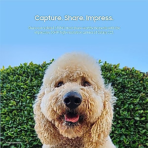 SAMSUNG 15.6" Galaxy Book3 Business Laptop Computer, Windows 11 PRO/Galaxy S23 Ultra Cell Phone Factory Unlocked Android, 256GB/ Galaxy Buds 2 Pro True Wireless Bluetooth Earbuds (Black)