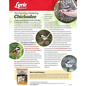Lyric Chickadee Wild Bird Seed - Sunflower & Nut Premium Bird Food Mix for Chickadees, Nuthatches & Titmice - 4 lb bag