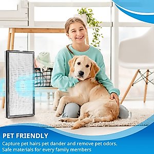 40 Replacement Filter H13 HEPA 40 Filter - Compatible with 40 3-in-1 Filters Contains High-Efficiency Activated Carbon Filter, 2 Pack 40 Filter