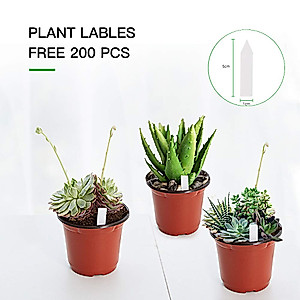 JERIA 200-Pack 4 Inch Plastic Nursery Pots Come with 200 Pcs Labels, Seedling Flower Plant Container and Seed Starting Pots