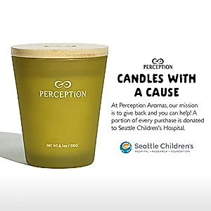 PERCEPTION AROMAS Luxury Scented Candle | Bamboo Jasmine | Hand Poured Soy Wax Candle with Gift Box | Elegant Fragrances | 50 Hour Burn Time (8.1 oz)