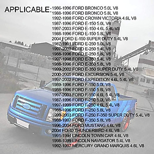 Dasbecan Fuel Injector Compatible with Ford Bronco Crown Victoria E150 E250 E350 Excursion Expedition F150 F250 F350 Mustang Thunderbird Lincoln Town Car 1986-2005 Replaces# 0280150943 Set of 8