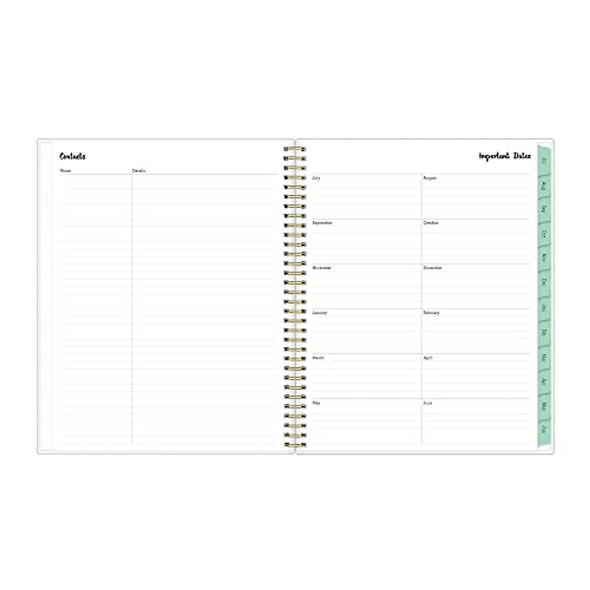 Blue Sky 2023-2024 Academic Year Weekly and Monthly Planner, 8.5" x 11", Frosted Flexible Cover, Wirebound, Laurel (144723)
