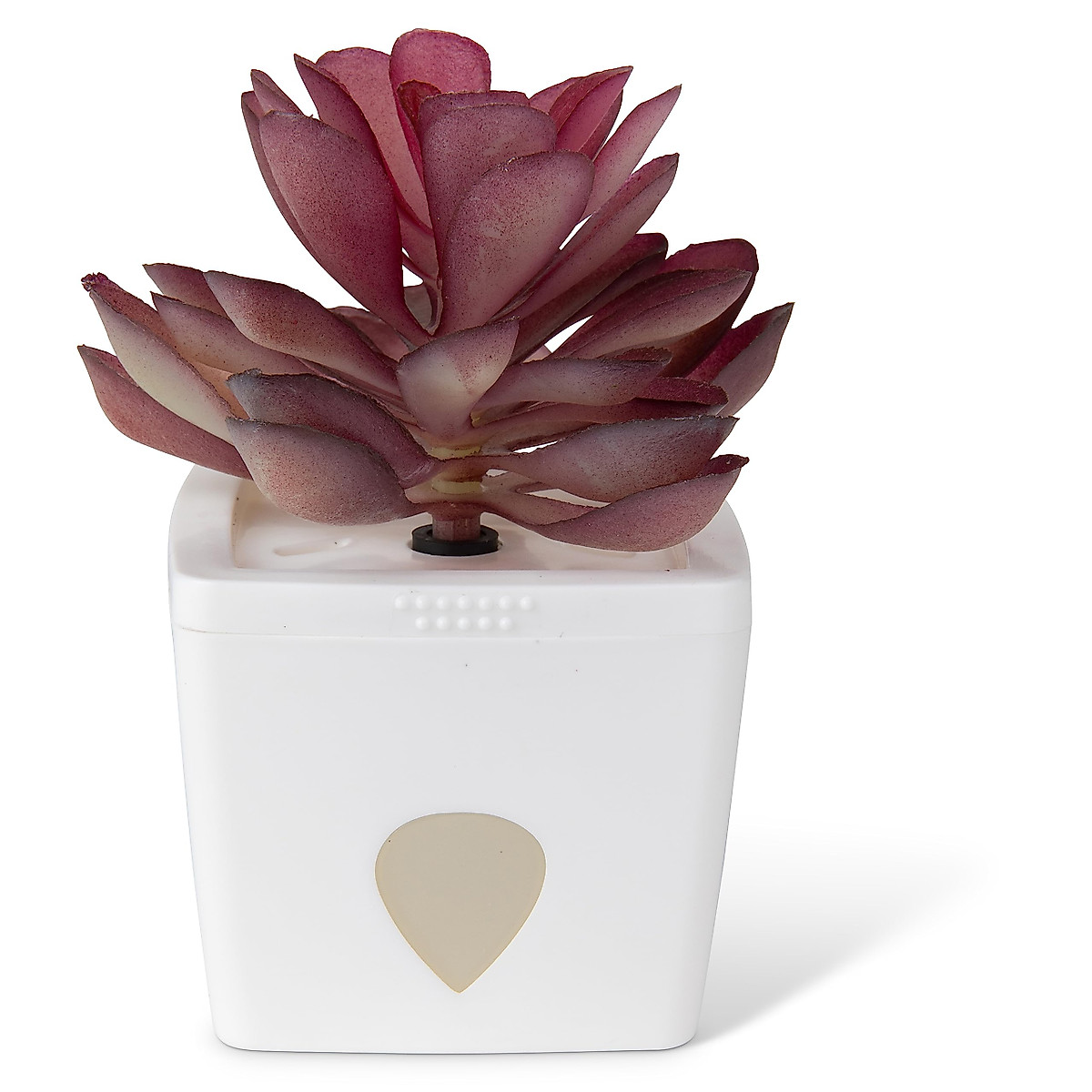 ZendoZones Fruit Fly Traps, 12 Pack Assorted with White Base, Refillable and Reusable, Discreet and Effective