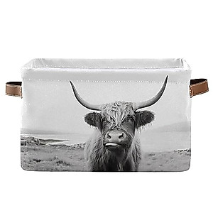 xigua Scottish Highland Cow Print Storage Bin Collapsible Canvas Storage Basket Closet Organizer with Handles for Bedroom Nursery Shelves Laundry Room, 1 Pack