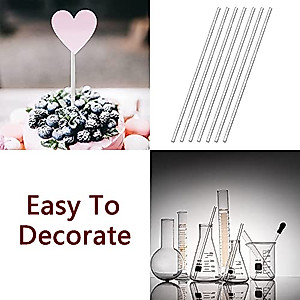 yeenelwboo 12 Pcs Clear Plastic Sticks Acrylic Dowel Rods Round Rod Transparent Acrylic Round Rod Solid Rod for DIY Projects