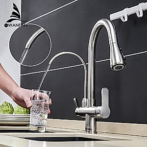 WANFAN Kitchen Sink Faucet with Pull Down Sprayer 2 Handle 3 in 1 Water Filter Purifier Faucets Brushed Nickel 0195SN