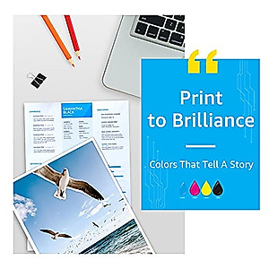 Palmtree Remanufactured Ink Cartridge Replacement for HP 950XL 950 XL 951XL 951 XL for OfficeJet Pro 8610 8600 8620 8625 8630 8100 8615 8640 8660 251dw 276dw Printer Ink Cartridge (4 Combo Pack)