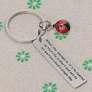 AHAETH Ladybug Keychain Gifts for Women When She Swoops in It Remind Us Not Be Let Worries Cloud A Single Day Keychain Good Luck Inspirational Jewelry Gift