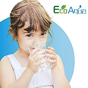 EcoAqua EFF-6013A Replacement Filter, Compatible with GE MWF SmartWater, MWFA, MWFP, GWF, GWFA, 46-9991, HDX FMG-1, WFC1201, GSE25GSHECSS, PC75009, RWF1060 Refrigerator Water Filter, 1 Pack