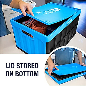 CleverMade 62L Collapsible Storage Bins - Durable Plastic Folding Utility Crates, Royal Blue, 3 Pack & CleverMade - 8034119-21843PK 62L Collapsible Storage Bins with Lids - 3 Pack, Neptune Blue