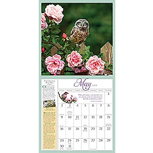 Audubon Birds in the Garden Wall Calendar 2021