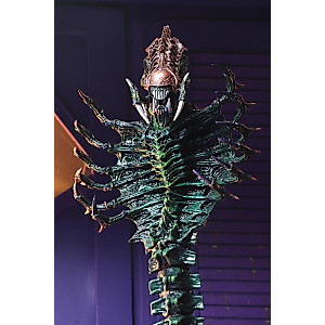 Stufanim Snake Alien Alienns Vs Preedator Black 7.1 Inch Figure - Toy Collection - Gifts for Friends, Family, Anime Lovers