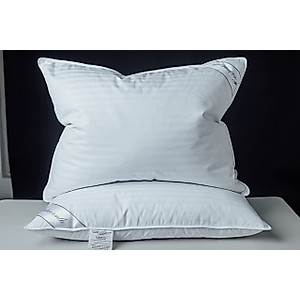Eastwarmth Goose Feather Blend with Polyester Bed Pillows 100% Cotton, Medium Soft Soft Support Standard Pack of 1, Stripe White