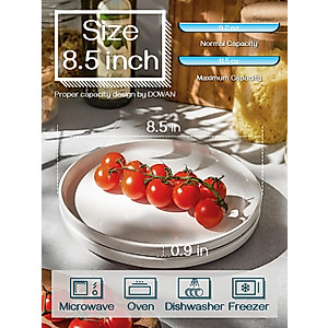 DOWAN 8.5" Moon-White Sesame Glaze Dinner, Dessert & Salad Plates Set of 6, Porcelain Ceramic, Microwave, Oven & Dishwasher Safe, Perfect for Daily Dining, Family Gatherings, Parties & Gifts