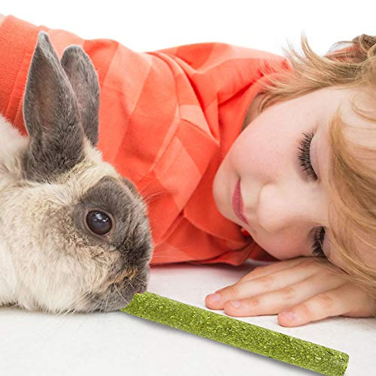 NC Timothy Hay Sticks for Rabbits Guinea Pig Hamsters Chinchilla Bunny Chew Toys for Teeth Treats Accessories