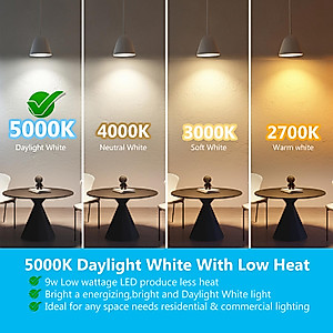 DAYBETTER BR30 LED Light Bulbs Indoor Flood Light, 6Pack 5000K Daylight White LED Bulb 65W Equivalent, Dimmable, E26 Base, 800LM, LED Recessed Can Bulb for Living Room Bedroom Dining Room Bathroom