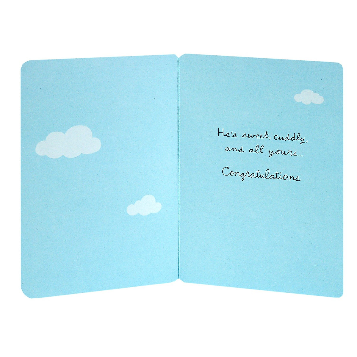Hallmark Signature Baby Shower Card for Boy (Elephant with Balloon) Welcome New Baby Boy, Congratulations