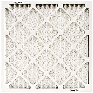 Flanders 84858.012025 NaturalAire Standard Air Filter MERV 1-inch, 20" x 25". (Pack of 12)