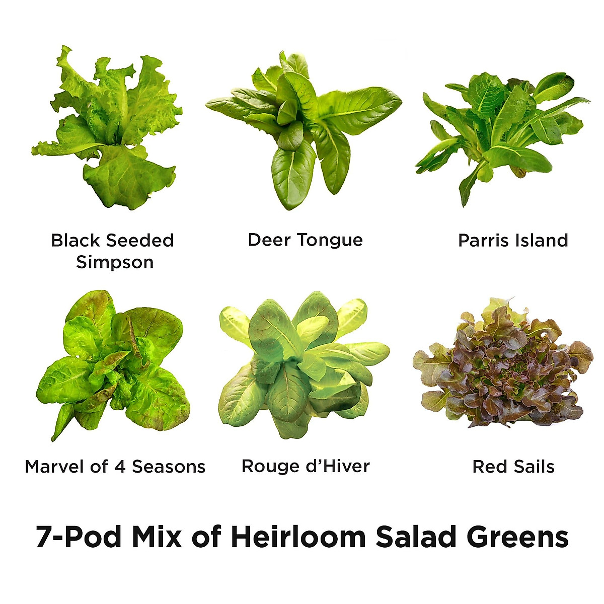 AeroGarden Heirloom Salad Greens Seed Kit, 7-pod, White