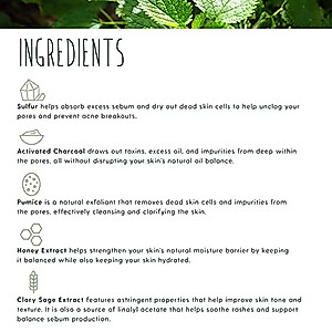 TreeActiv Acne Charcoal Face Wash, 8 Fl oz, Daily Face Wash with Sulfur Honey, Charcoal Exfoliating Face Cleanser, Mens Face Wash for Acne, Deep Cleansing Charcoal Face Wash for Women and Men, 425+ Uses