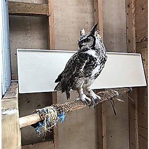 SWEETER HEATER Infrared Heater for Chicks & Pets, Flush Mount 11x40, 150 Watt