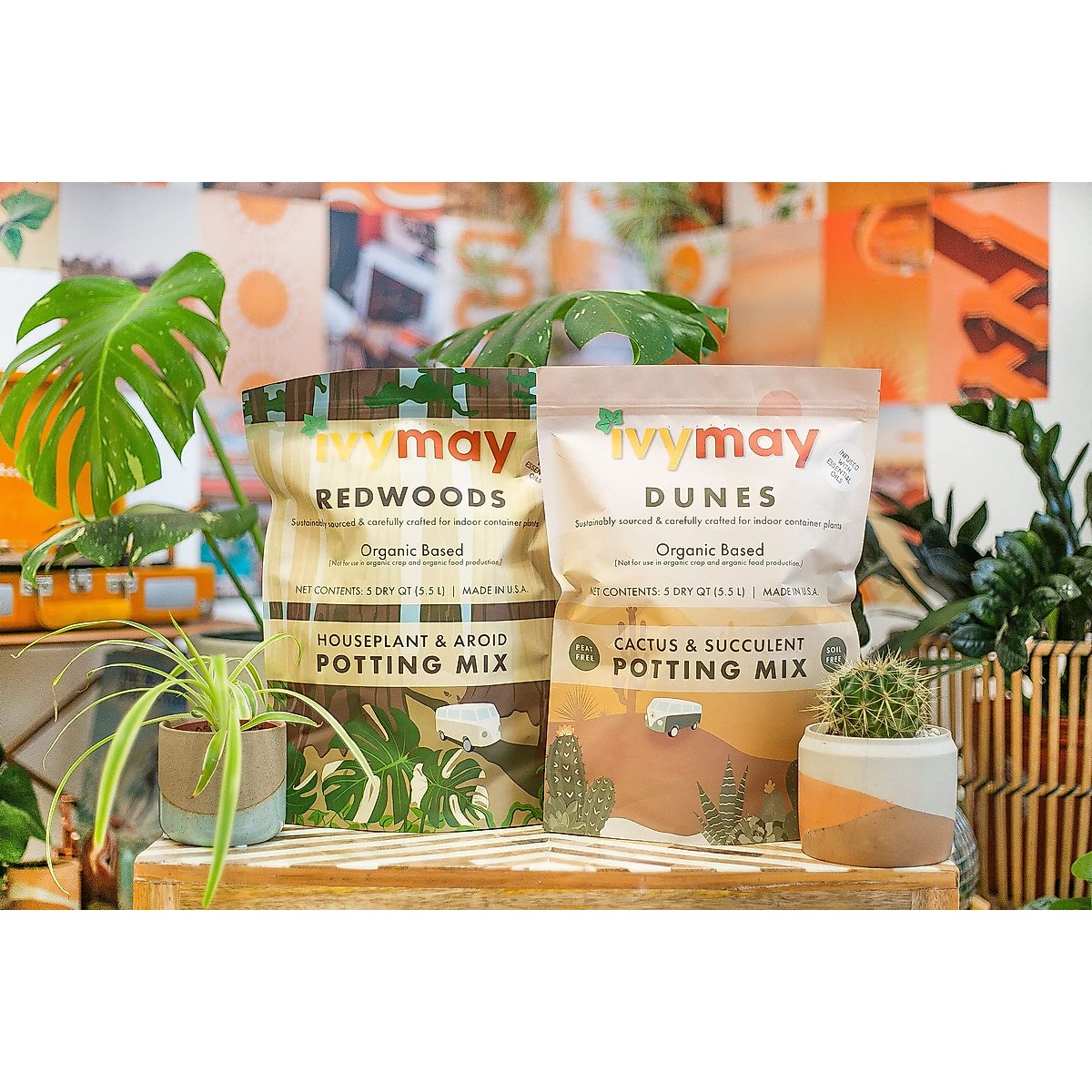 IvyMay Dunes Succulent Soil ― Organic Cactus Soil Potting Mix for Succulents, Ready to Use Potting Soil Indoor Plants with Perlite, Pumice, Earthworm Castings, Essential Oils ― 5 qt