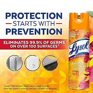 Lysol Disinfectant Spray, Sanitizing and Antibacterial Spray, For Disinfecting and Deodorizing, Mango & Hibiscus Scent, 19 Fl Oz, (Packaging May Vary)