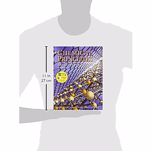 Loose-leaf Version for Chemical Principles