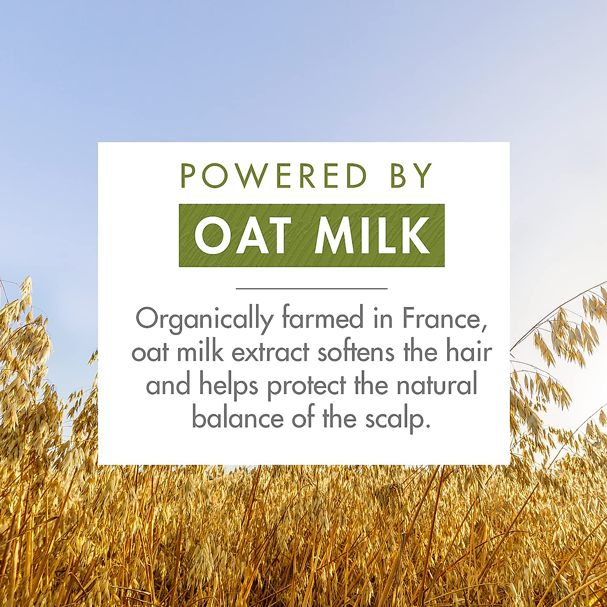 Klorane Ultra-Gentle Shampoo with Oat Milk, Sulfate-Free, Dermatologist and Pediatric Tested, Hypoallergenic, Vegan, Plant-based, Biodegradable