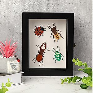 2 Pcs Insect Display Case Collection Shadow Boxes Butterfly Box with Clear Top EVA Foam Pinning Board and 300 Pcs 3 Sizes Insect Pins Insect Pinning Kit for Specimen, 7.87 x 6.3 x 2.05 Inch (Black)