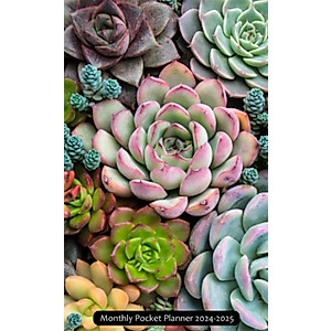 Monthly Pocket Planner 2024-2025: Plan & Organize Schedule 2 Years from JANUARY to DECEMBER Small Size for Purse | 24 Months Appointment Notebook for Easy Scheduling On-The-Go