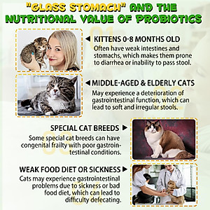 Cat Constipation Relief, 2 Fl Oz Constipation Relief for Cat, Cat Laxative, Cat Laxative Constipation Relief, Stool Softener, Supports Digestive Health