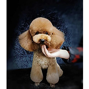 Dog Grooming Scissors,Pet Grooming Scissors,Thinning,Straight,Curved Down Shears great for Groomers and Home Grooming