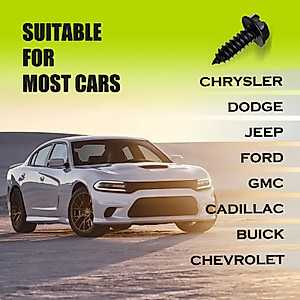 gunhunt 4 PCS License Plate Screw Kit, 304 Stainless Steel Bolts Fasteners, Hexagon Head Screw, Universal for Front Rear License Plates & License Plate Frame Covers of Cars, Trucks SUVs (Black)