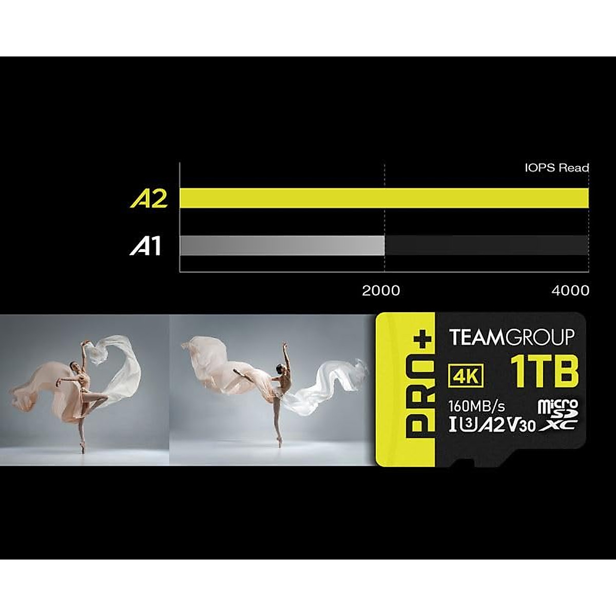 TEAMGROUP A2 Pro Plus Card 256GB x 2 Pack Micro SDXC UHS-I U3 A2 V30, R/W up to 160/110 MB/s for Nintendo-Switch, Gaming Devices, Tablets, Smartphones, 4K Shooting, with Adapter TPPMSDX256GIA2V3064