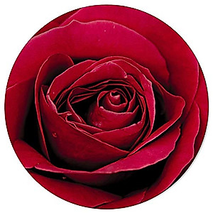 MUSEDAY Area Rug 3.3ft Round, Red Rose Flower Plant Kitchen Rugs Non Skid Area Indoor Floor Mat for Living Room, Bedroom