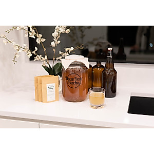 Brew Your Bucha Kombucha Tea SCOBY with Starter Fluid - Kombucha Starter Kit with Scoby, Live Culture, Scoby Kombucha Starter, Kombucha Kit, DIY Kombucha Brewing Kit, Scoby Kombucha Starter (1 Scoby)